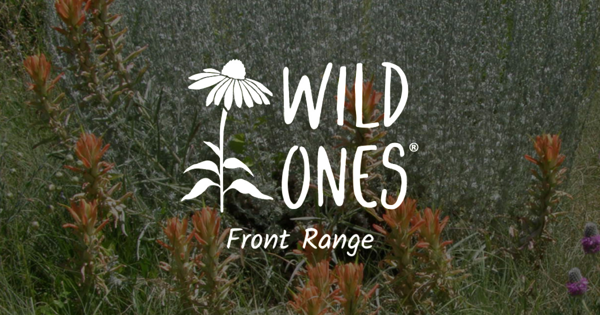 Favorite Native Plant Combinations - Wild Ones Front Range Chapter