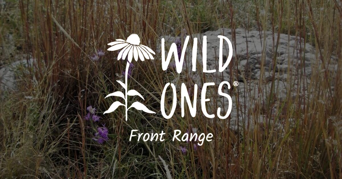 Native Grasses - Wild Ones Front Range Chapter