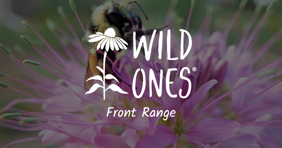 Native Plants - Wild Ones Front Range Chapter