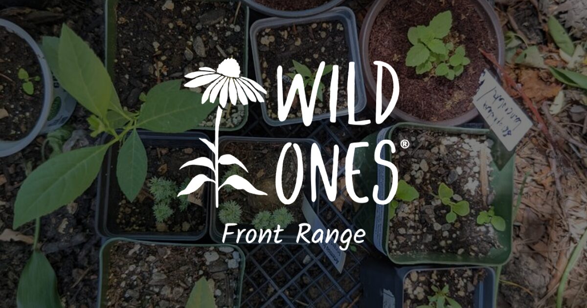 Native Plant Swaps and Giveaways - Wild Ones Front Range Chapter