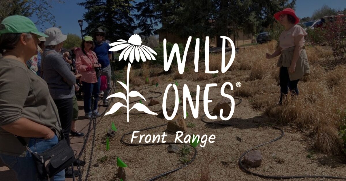 May Member Meetups | Colorado Native Plant Gardening - Wild Ones Front ...
