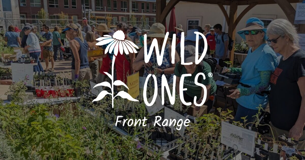 Colorado Native Plants | Denver Post article: To conserve gardening ...