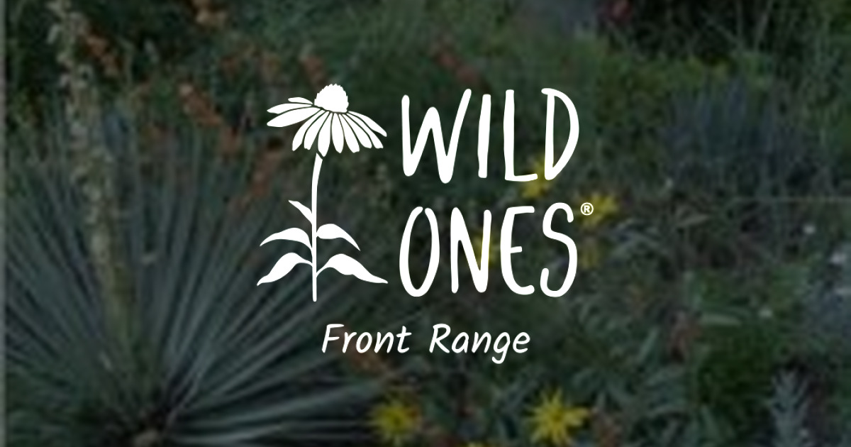 Low Water Native Plants for Colorado Booklets - Wild Ones Front Range ...