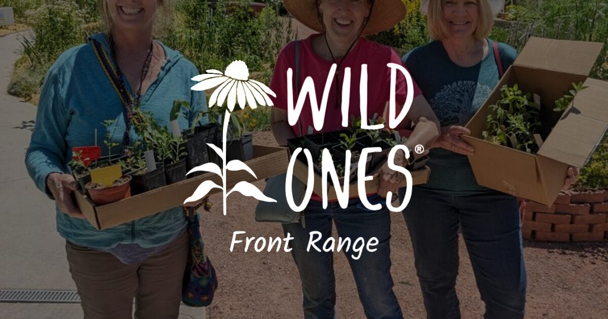 Colorado Native Plants | Denver Native Plant Swap & Giveaway - Wild ...