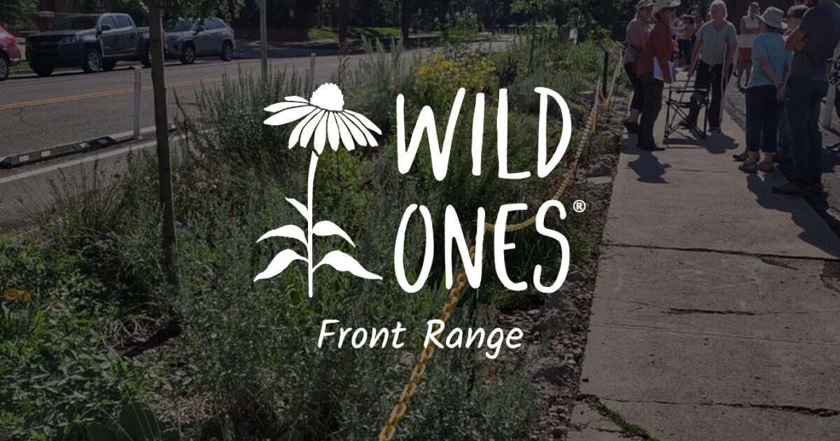 Colorado Native Plant Demonstration Garden | Tour of Denver's ...