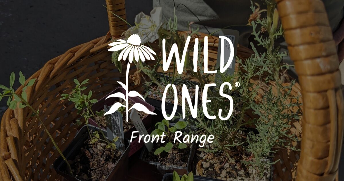 Colorado Native Plant & Seed Sources - Wild Ones Front Range Chapter