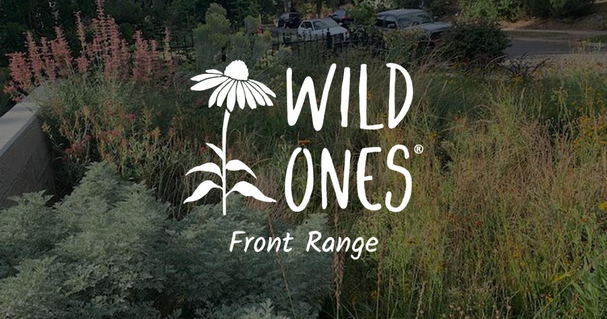 How to Approach Designing Your Colorado Native Plant Landscape - Wild ...
