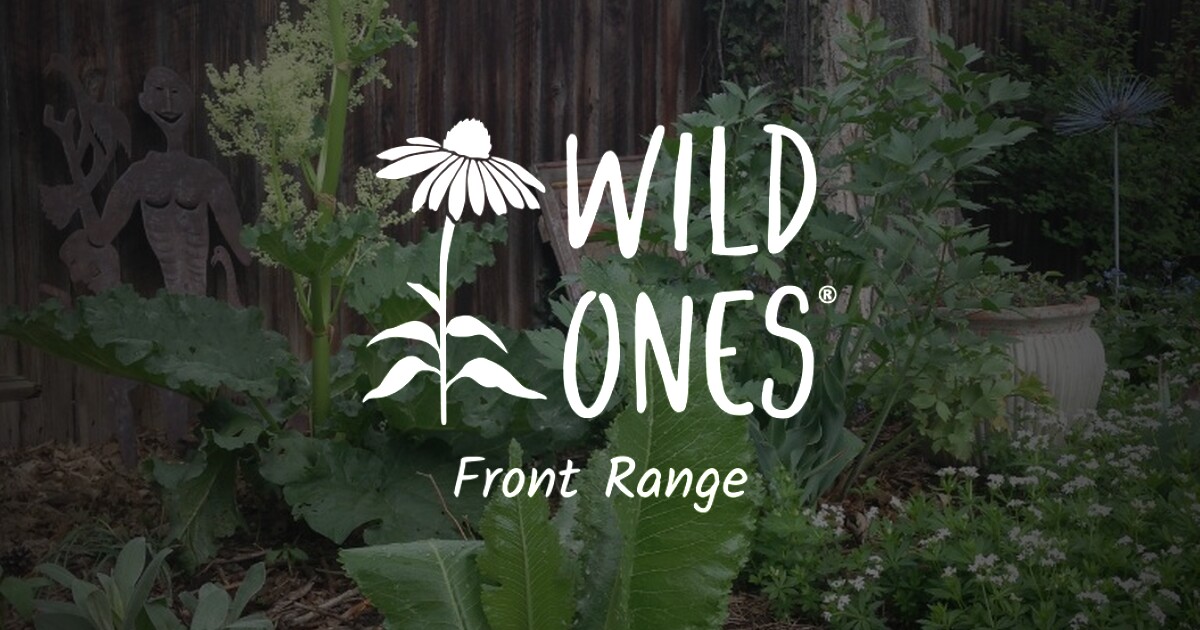 Edible Native Plants for Colorado Front Range Landscapes - Wild Ones ...