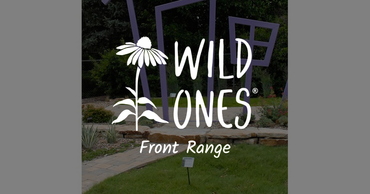 Glorious Grasses Native to Colorado's Front Range - Wild Ones Front ...