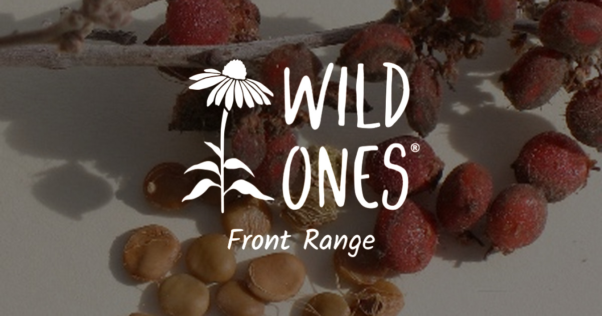 Outdoor Colorado Native Seed Stratification - Wild Ones Front Range Chapter