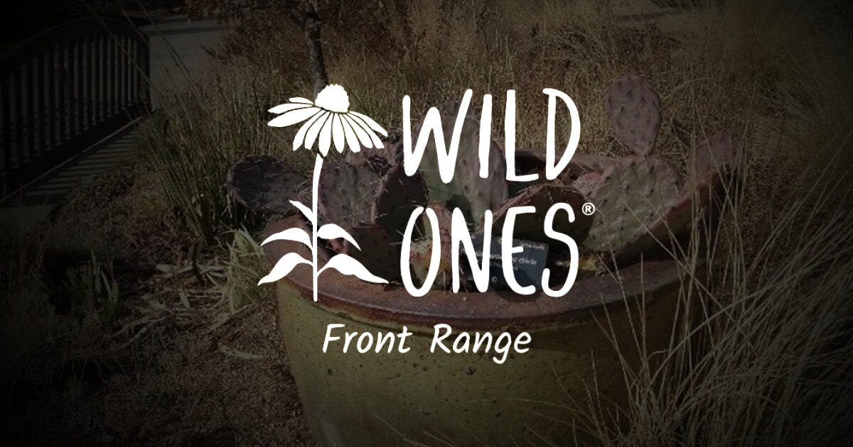 Container Gardening with Colorado Native Plants - Wild Ones Front Range ...