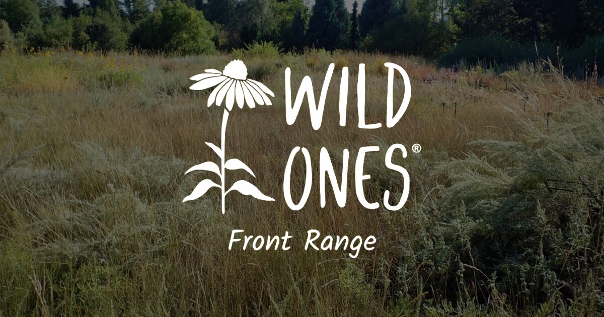 A Brief Introduction to Colorado Native Shortgrass Prairie Plants ...