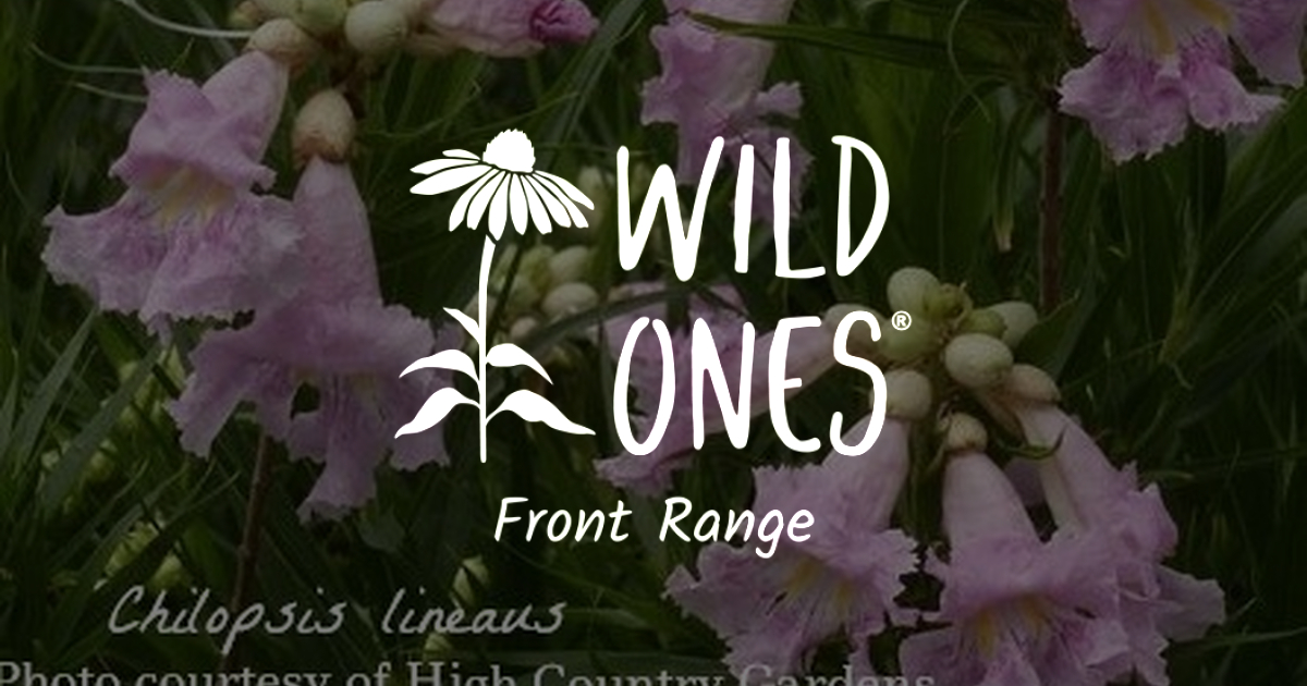 Climate Change and Native Plants - Wild Ones Front Range Chapter