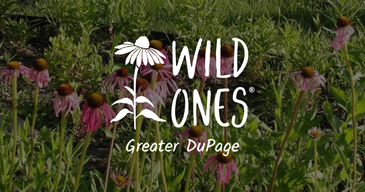Native Plant Sales - Wild Ones Greater DuPage