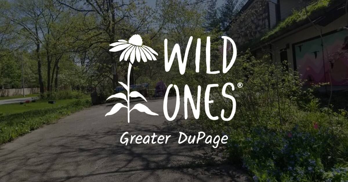 Pat Armstrong's Spring Flower Walk Photos 2021 - Wild Ones Greater DuPage