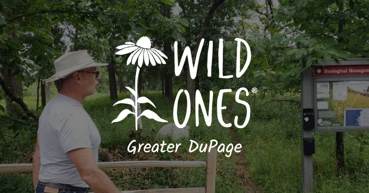 Native Plant Walks - Bluff Spring Fen Nature Preserve Guided Tour 2023 ...