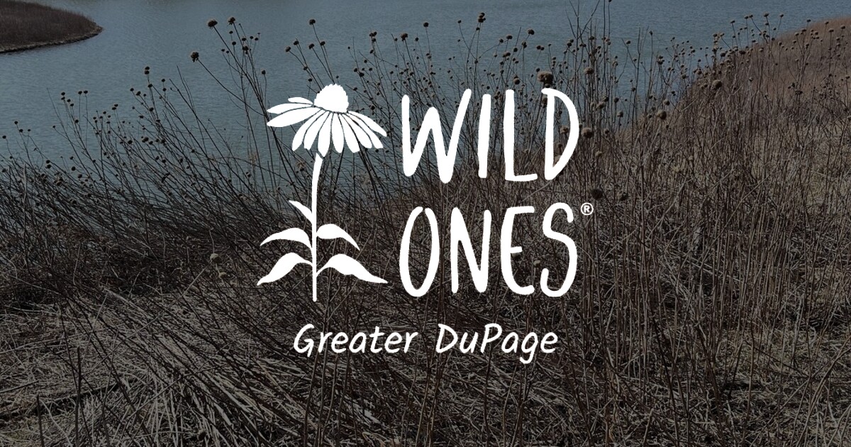 Take a Hike: Spring Creek Reservoir - Wild Ones Greater DuPage