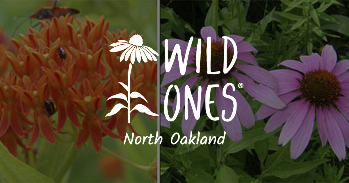 WILD ONES NATIVE GARDEN DESIGNS – Wild Ones North Oakland Chapter