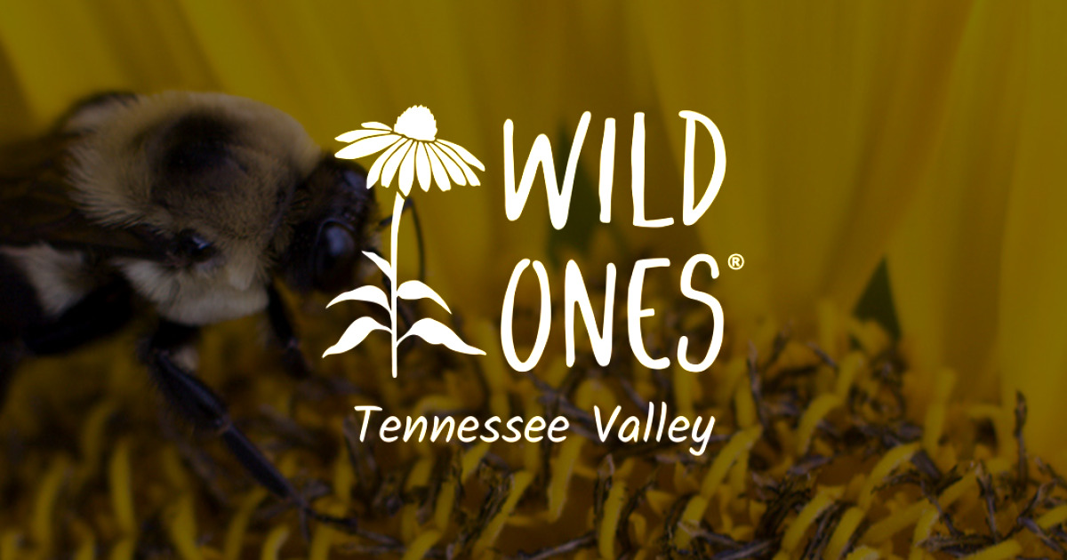 Bee Conservation - Wild Ones Tennessee Valley Chapter