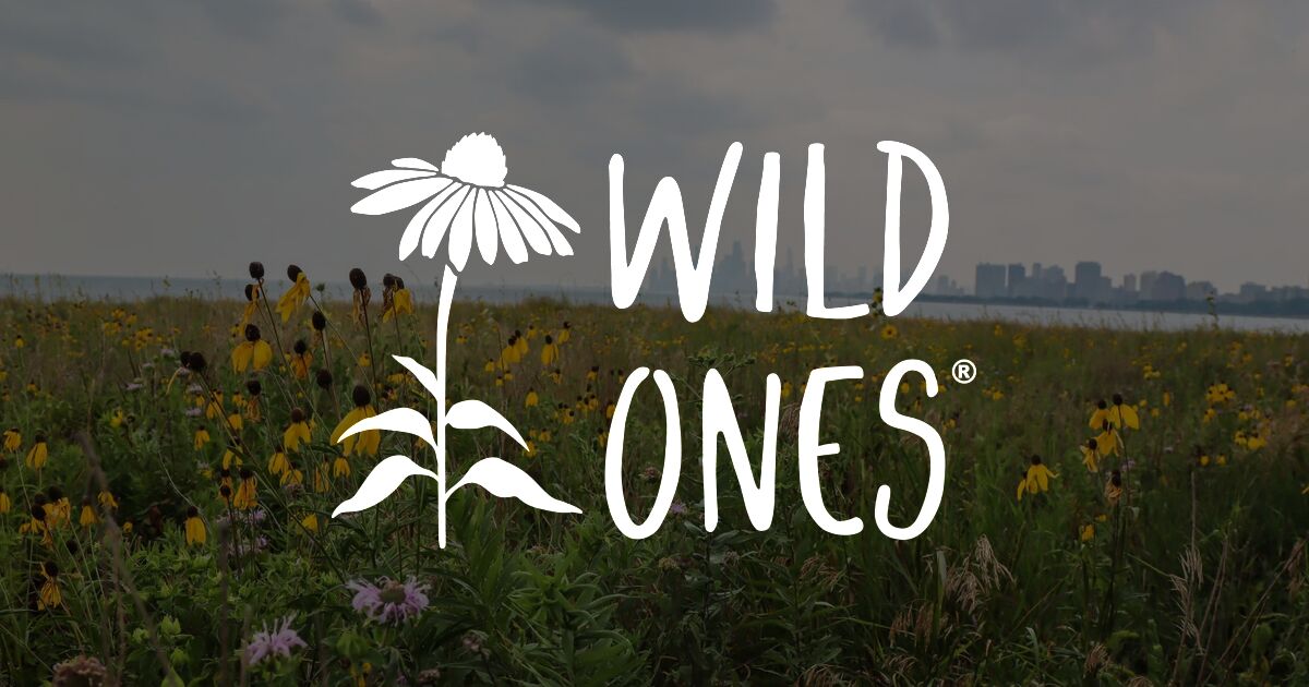 Mental Health and Natural Landscapes - Wild Ones: Native Plants ...