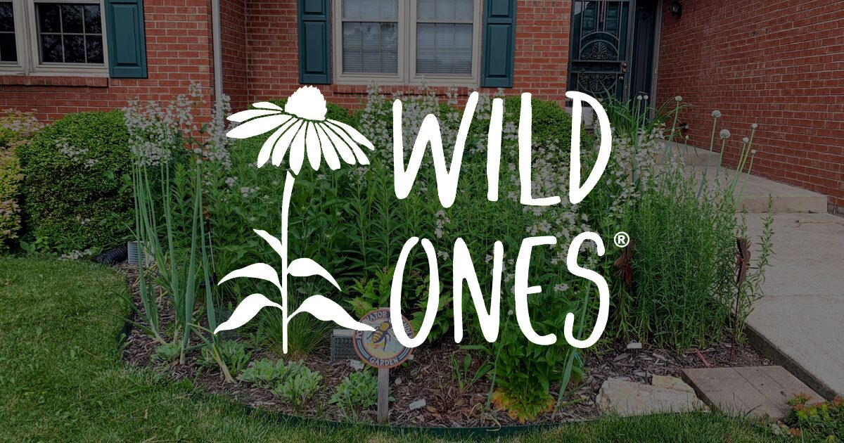 Member Garden: Courtney Denning and Kenneth Brunson - Wild Ones: Native ...