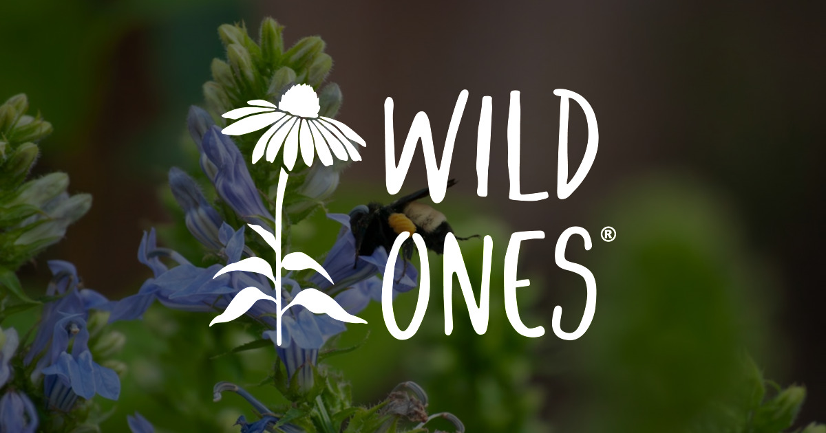 Neonics & Advocacy: Protecting Pollinators and Influencing Policy ...