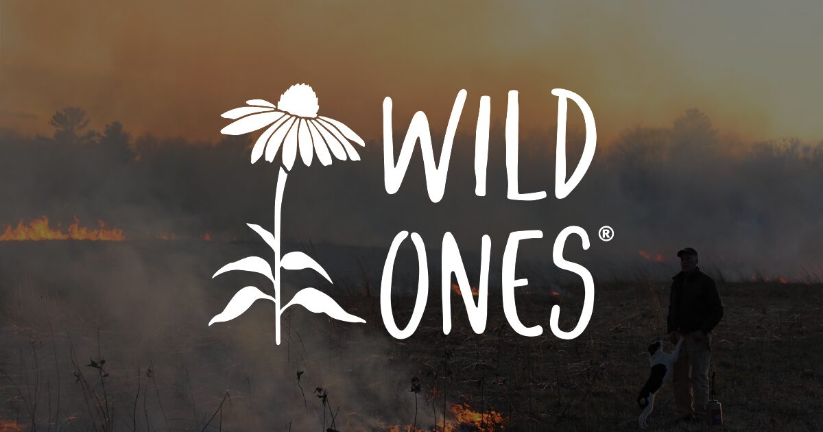 Ecological Control of Invasive Plant Species - Wild Ones: Native Plants ...
