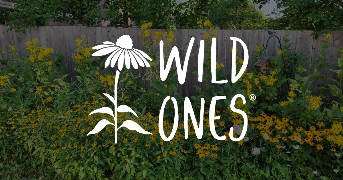 Mission, Vision, Values - Wild Ones: Native Plants, Natural Landscapes
