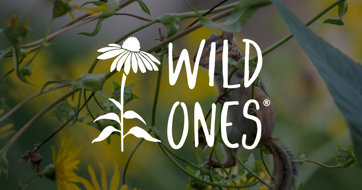 Wild Ones Staff - Wild Ones: Native Plants, Natural Landscapes
