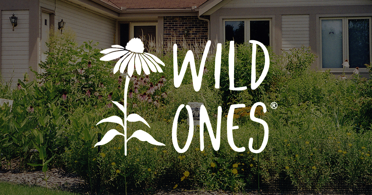 Wild Ones Grows the Native Garden Design Program - Wild Ones: Native Plants, Natural Landscapes