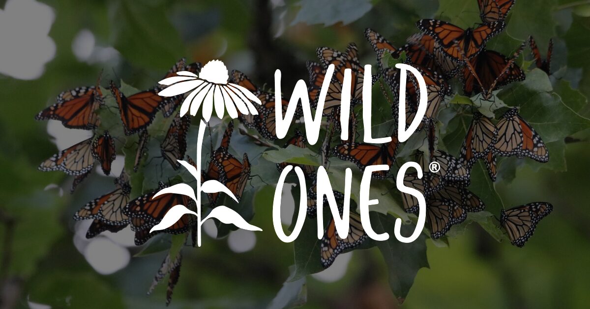 What’s in a name? Looking at the creative names gardeners give ...