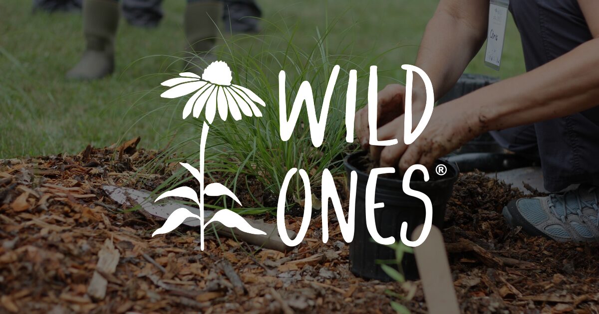 Stories of Connection, Transformation, and Community with Wild Ones ...