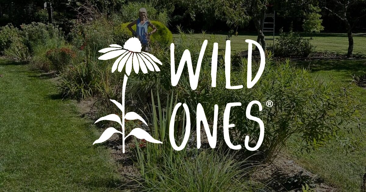 Member Garden: Denise Ranucci - Wild Ones: Native Plants, Natural ...