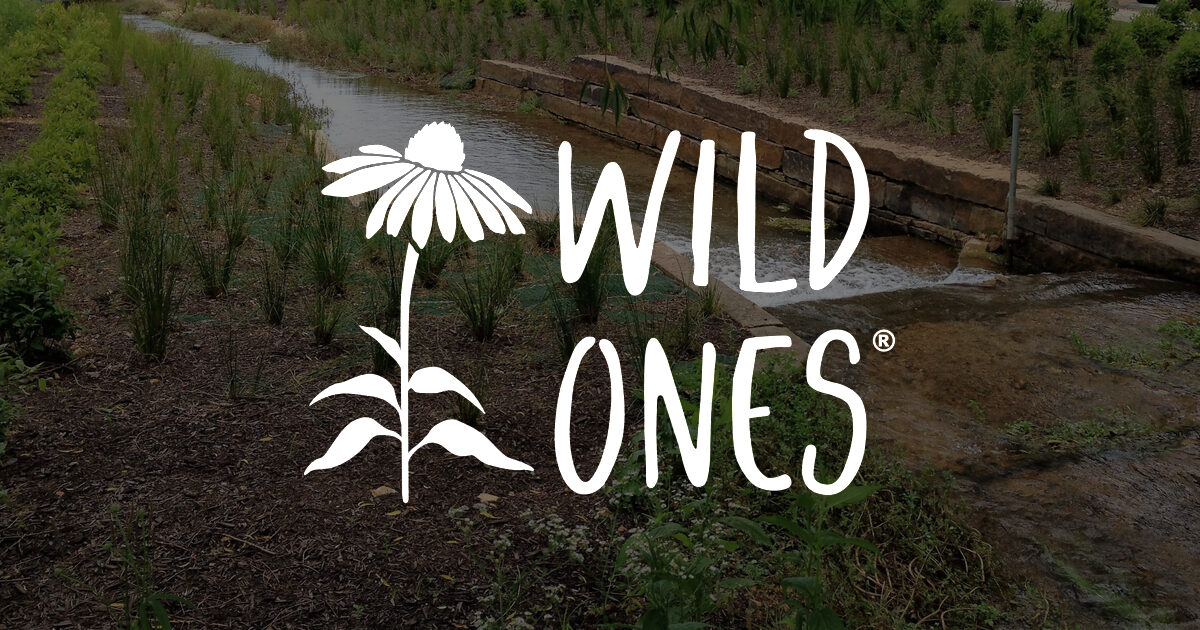 Native Plants for Improving Soil Contamination with Eric Fuselier ...
