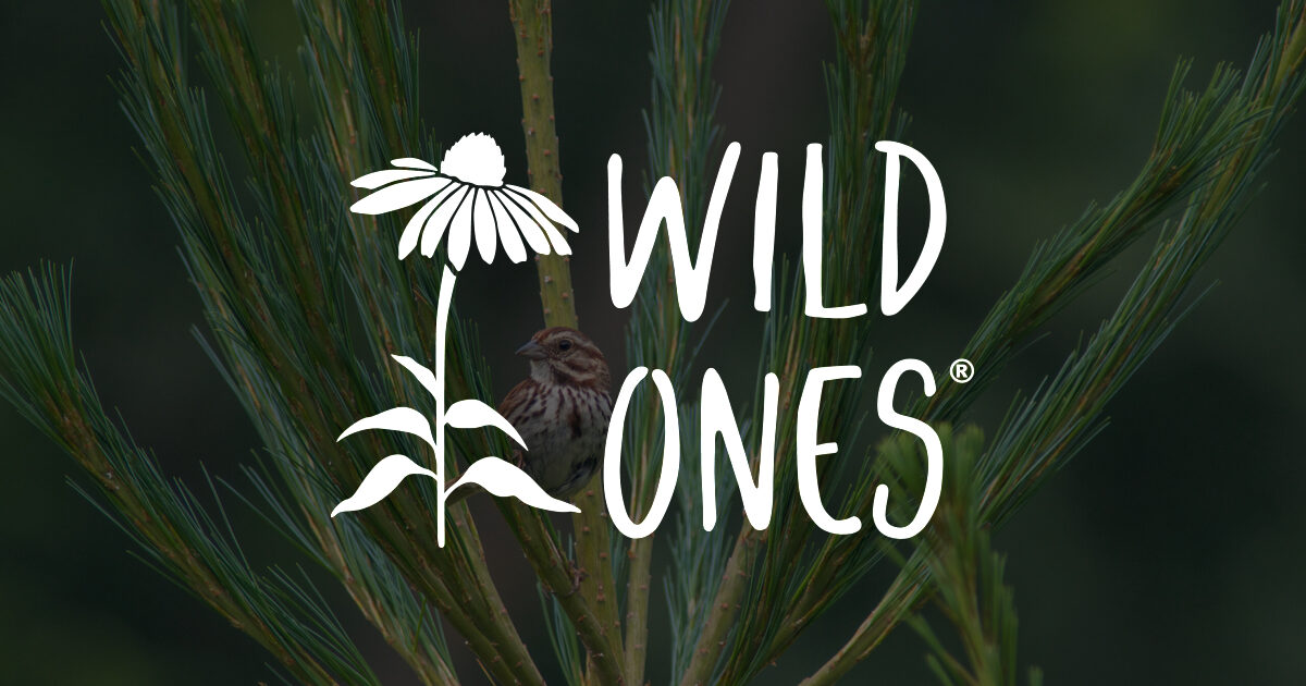 Contact Us - Wild Ones: Native Plants, Natural Landscapes