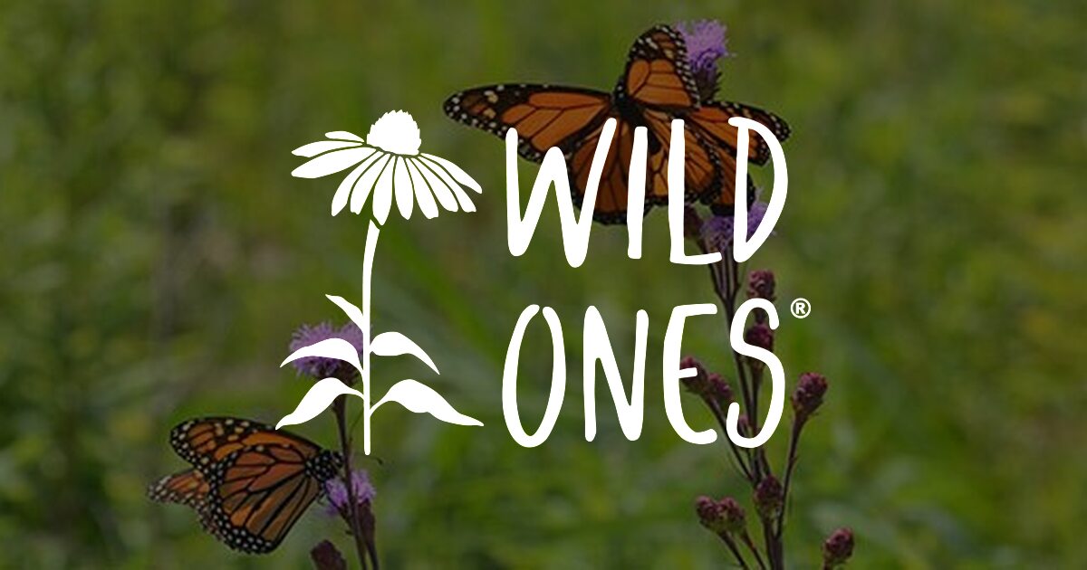 Sign Up For Updates - Wild Ones: Native Plants, Natural Landscapes
