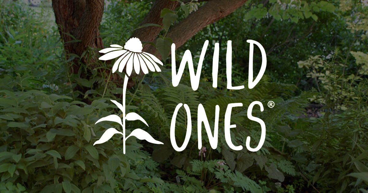 Tackling Climate in our Landscape - Wild Ones: Native Plants, Natural ...