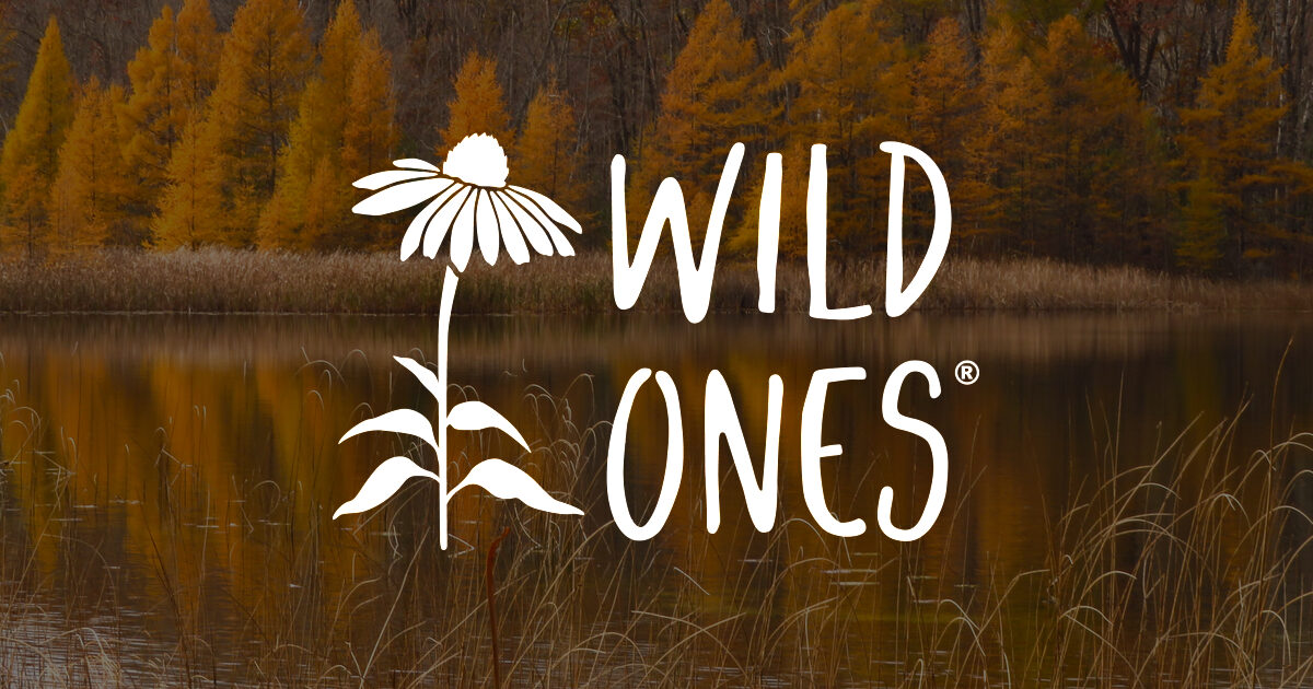 Donate - Wild Ones: Native Plants, Natural Landscapes