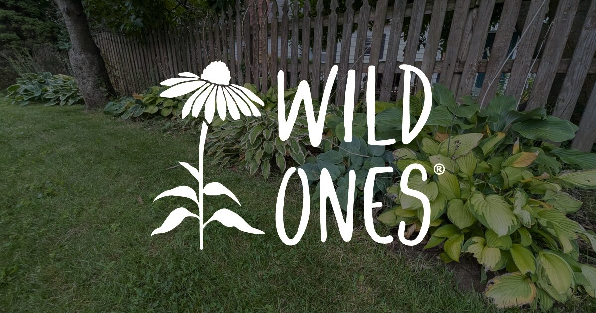 Treating the Hosta as Hostile - Wild Ones: Native Plants, Natural ...