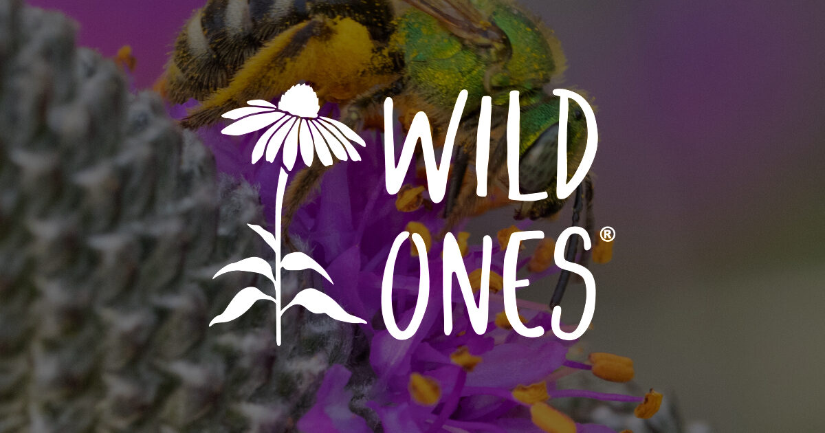 The Grapevine (Mar 2006) - Wild Ones: Native Plants, Natural Landscapes