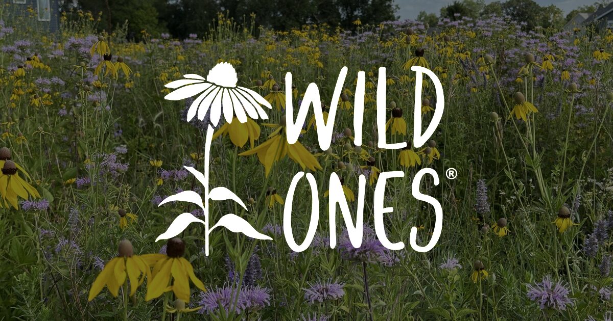 Chapters - Wild Ones: Native Plants, Natural Landscapes
