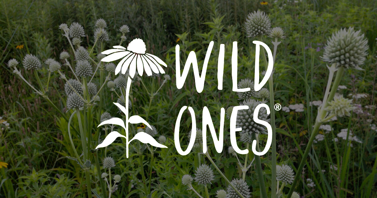 Creating Habitat for Snakes - Wild Ones: Native Plants, Natural Landscapes