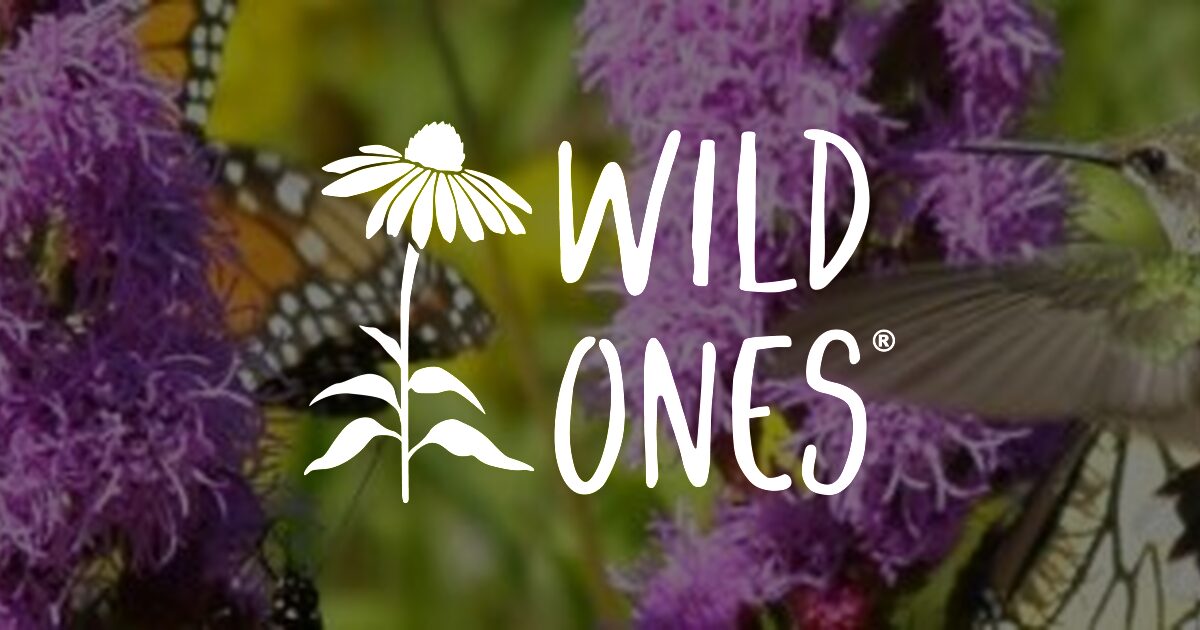 Partnerships - Wild Ones: Native Plants, Natural Landscapes