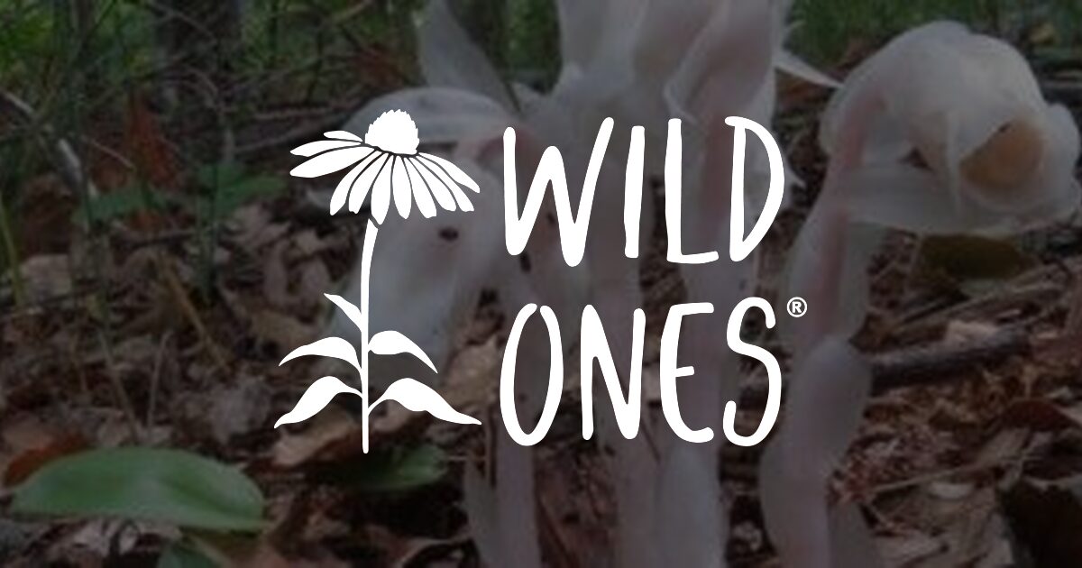 Wild Ones Annual Meeting webinar Oct. 12 - Wild Ones: Native Plants ...
