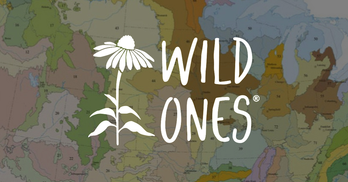 Guidelines for Selecting Native Plants: The Importance of Local ...