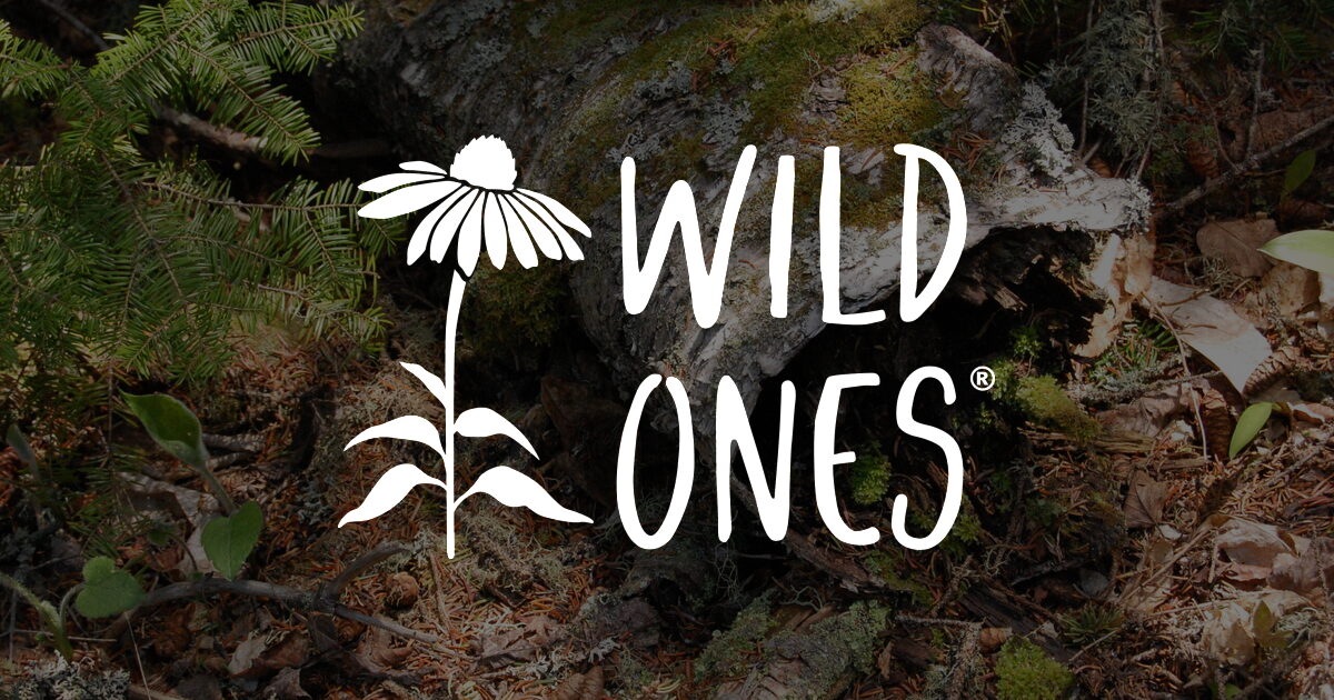 TOADally perfect: How to create toad habitat in your yard - Wild Ones ...