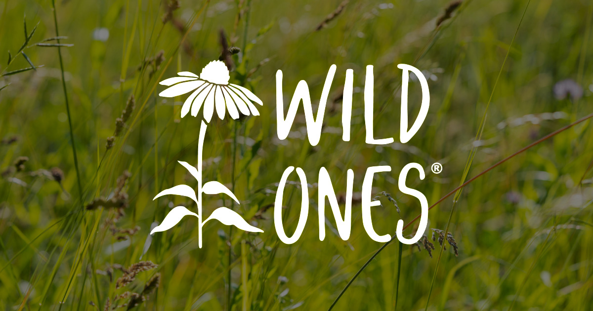 Book Review: Braiding Sweetgrass by Robin Wall Kimmerer - Wild Ones ...