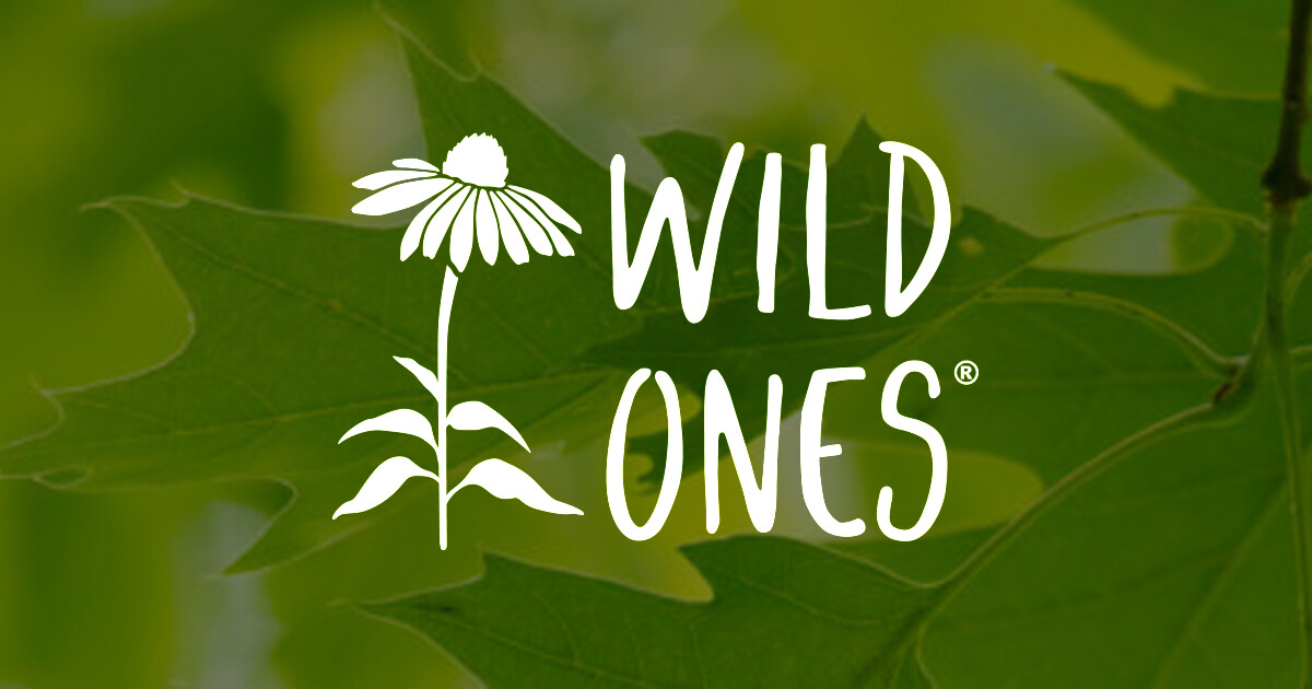 Wild Ones Presents "The Nature of Oaks: The Rich Ecology of Our Most ...