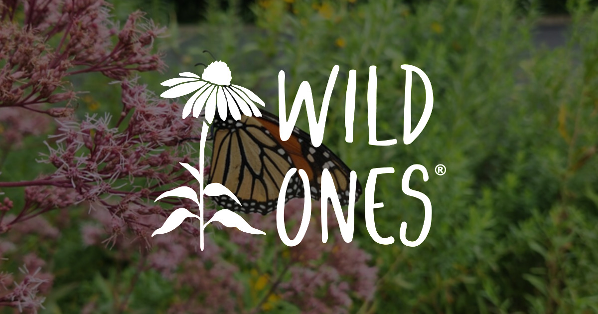 Wild for Monarchs - Wild Ones: Native Plants, Natural Landscapes