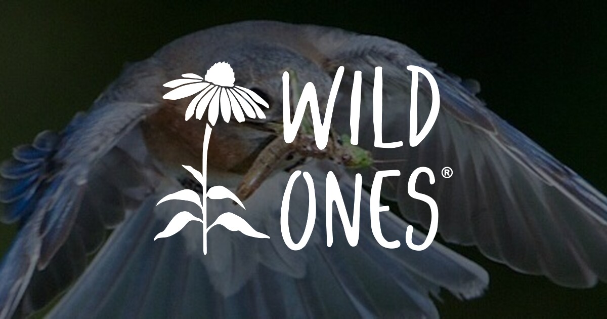 Wild Ones and Two Thirds for the Birds unite to promote native ...